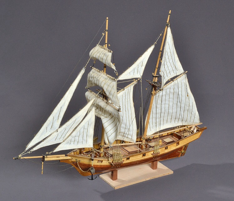 Albatros 1840 - Model Ship World™